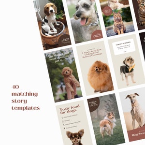 Pet Grooming Engagement Instagram Post& Stories Templates. for Dog ...