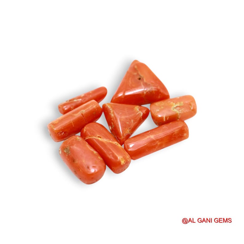 Coral Red Loose Gemstone Natural Fancy Shape Italy Cabochon 16.00ctw ...