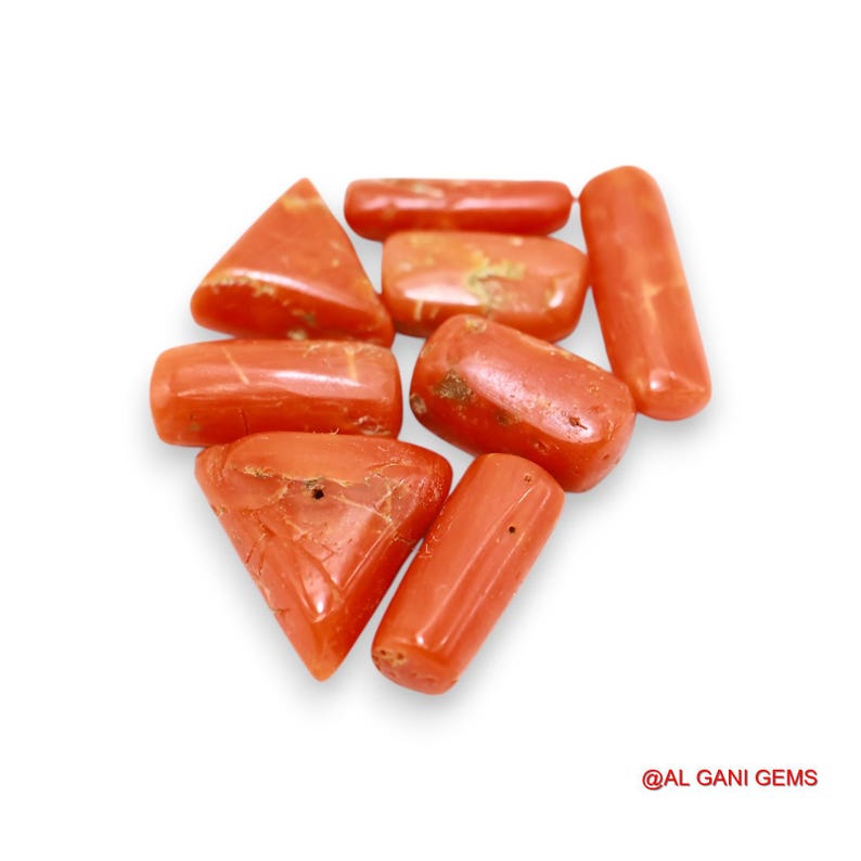 Coral Red Loose Gemstone Natural Fancy Shape Italy Cabochon 16.00ctw ...