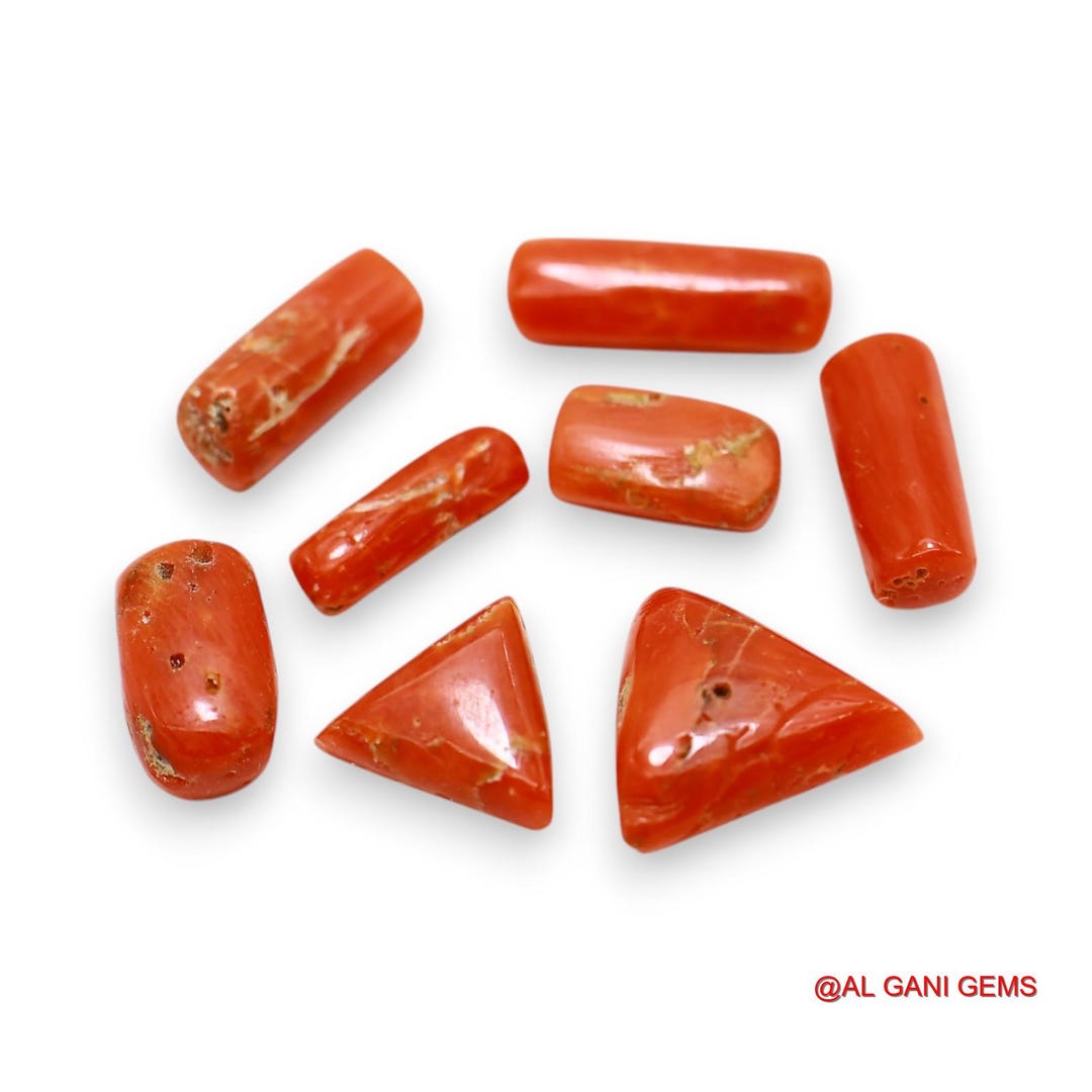 Coral Red Loose Gemstone Natural Fancy Shape Italy Cabochon 16.00ctw ...