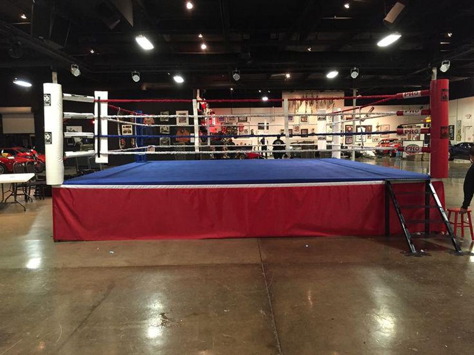 Custome Boxing Ring Canvas Side Skirt's (pair of 4). - Etsy