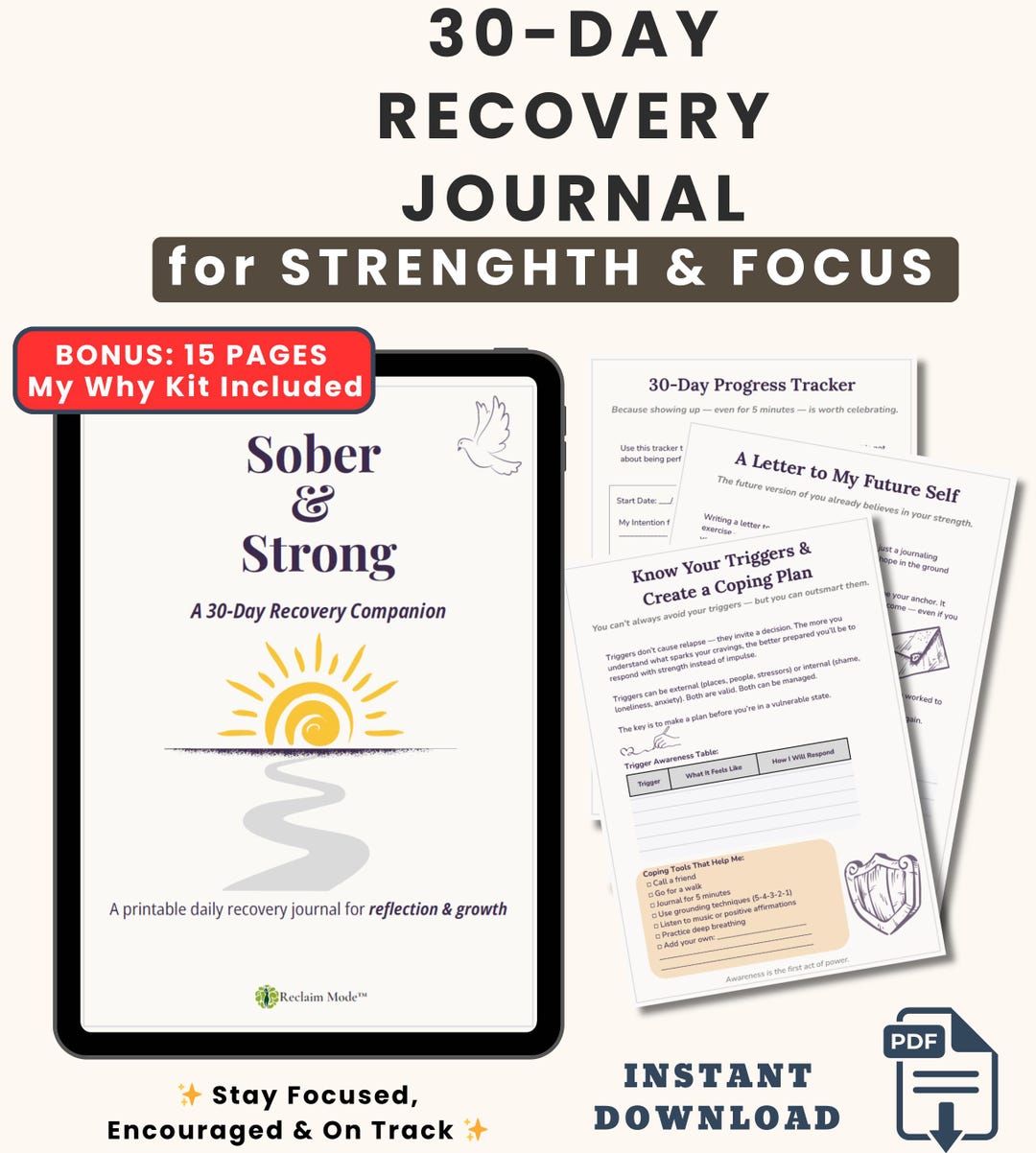 30-day Sobriety Journal – Printable Recovery Planner for Daily ...