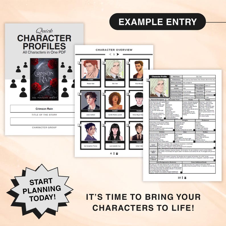 Fillable Quick Character Profile Planner, Digital & Printable Novel ...