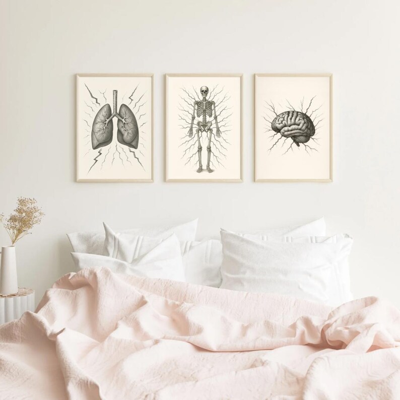Vintage Anatomy Art Prints (set of 3) – Lungs, Brain, Skeleton (digital ...
