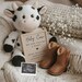 Holy Cow Pregnancy Announcement Sign Template, Country Farm Baby Reveal ...