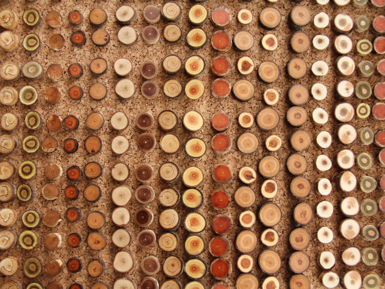 20 Wood Thumb Tacks Natural Wood Pushpins for Your Home or | Etsy