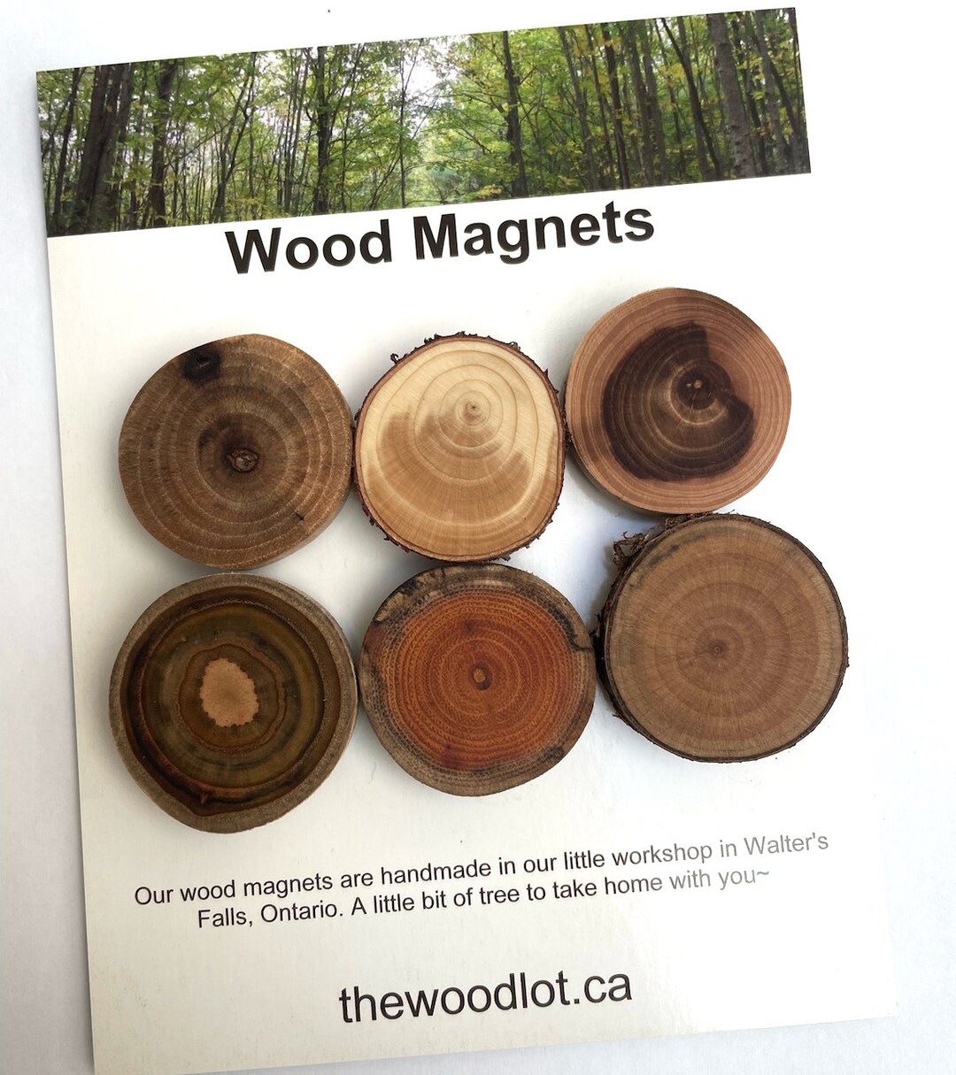 6 Wood Magnets Group J Walnut, Cedar, Apple, Sumac, Buckthorn, Cherry ...