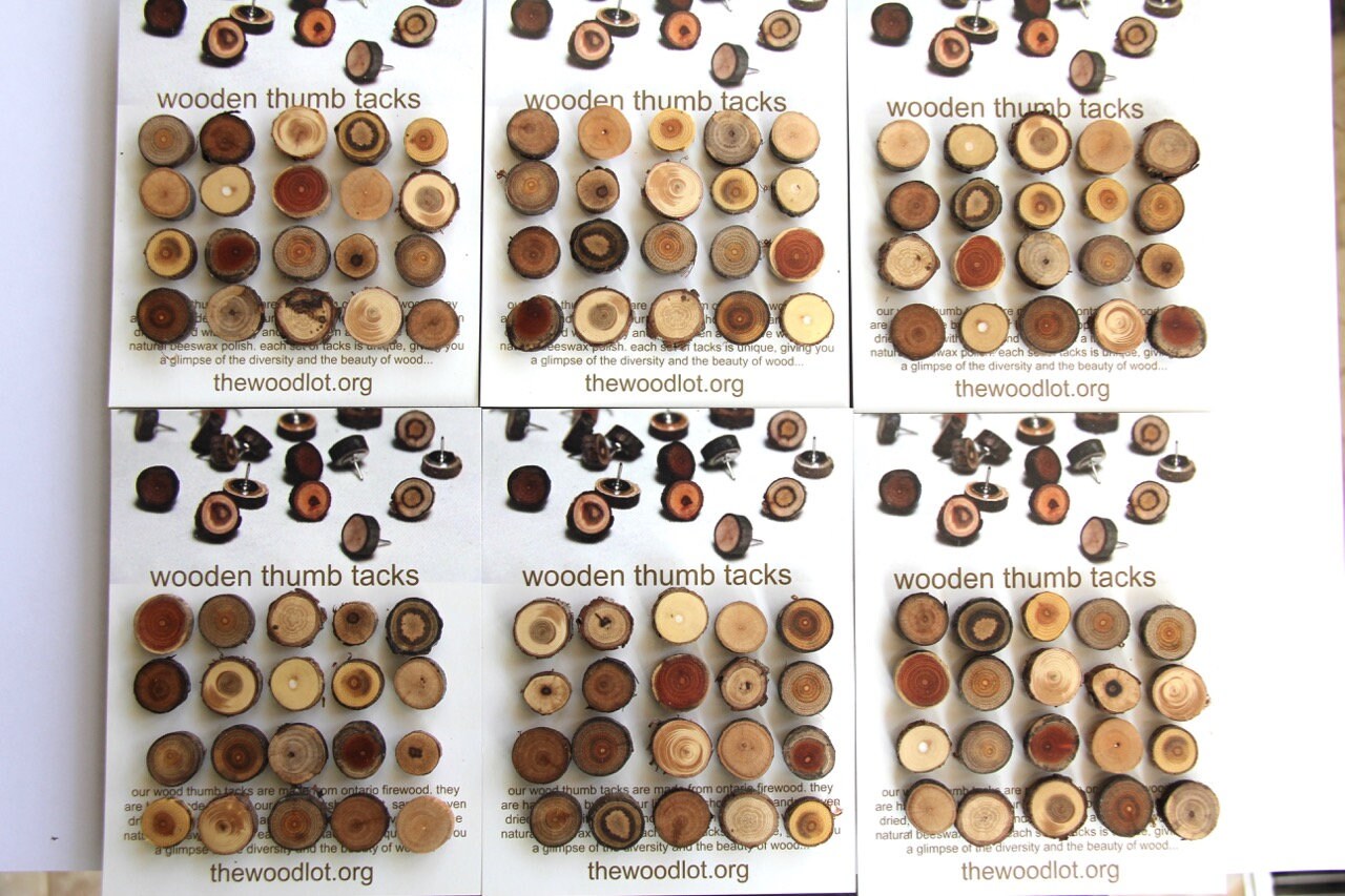 20 Wood Thumb Tacks Natural Wood Pushpins for Your Home or - Etsy