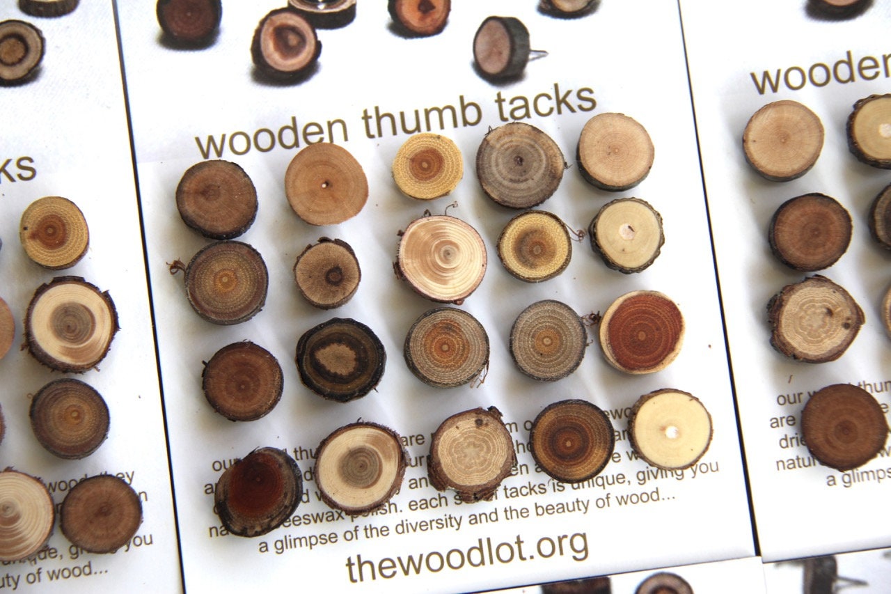 20 Wood Thumb Tacks Natural Wood Pushpins for Your Home or - Etsy