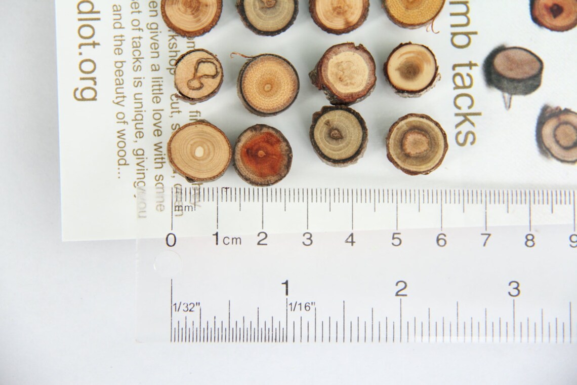 20 Wood Thumb Tacks Natural Wood Pushpins for Your Home or | Etsy