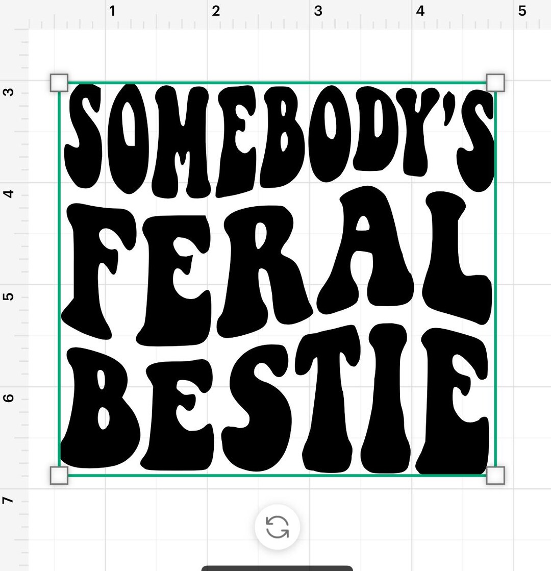 Somebody's Feral Bestie Decal - Etsy