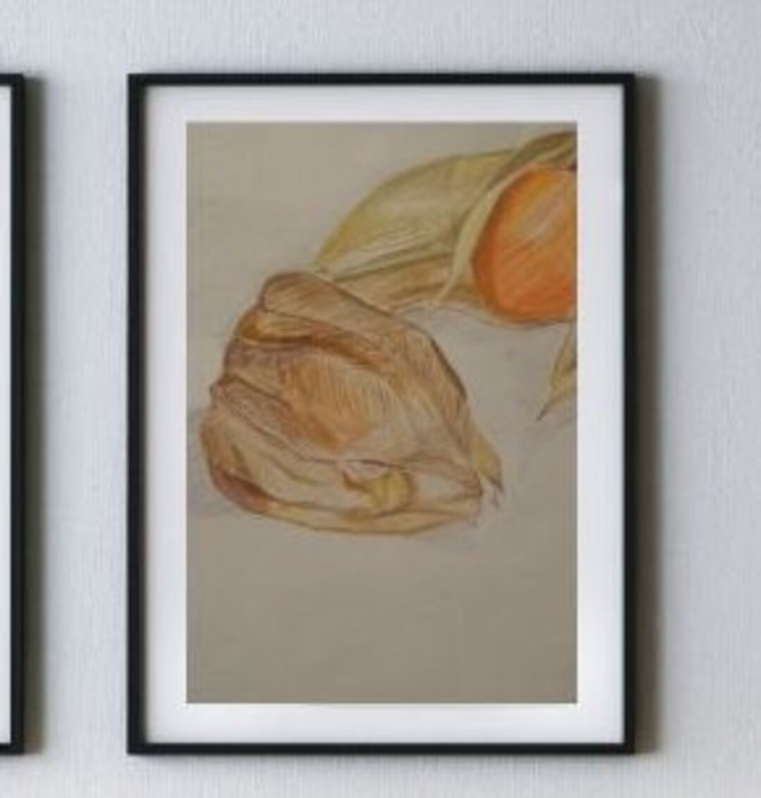 Digital Art Print - Coloured Pencil Detail Still Life Hand Drawing of ...