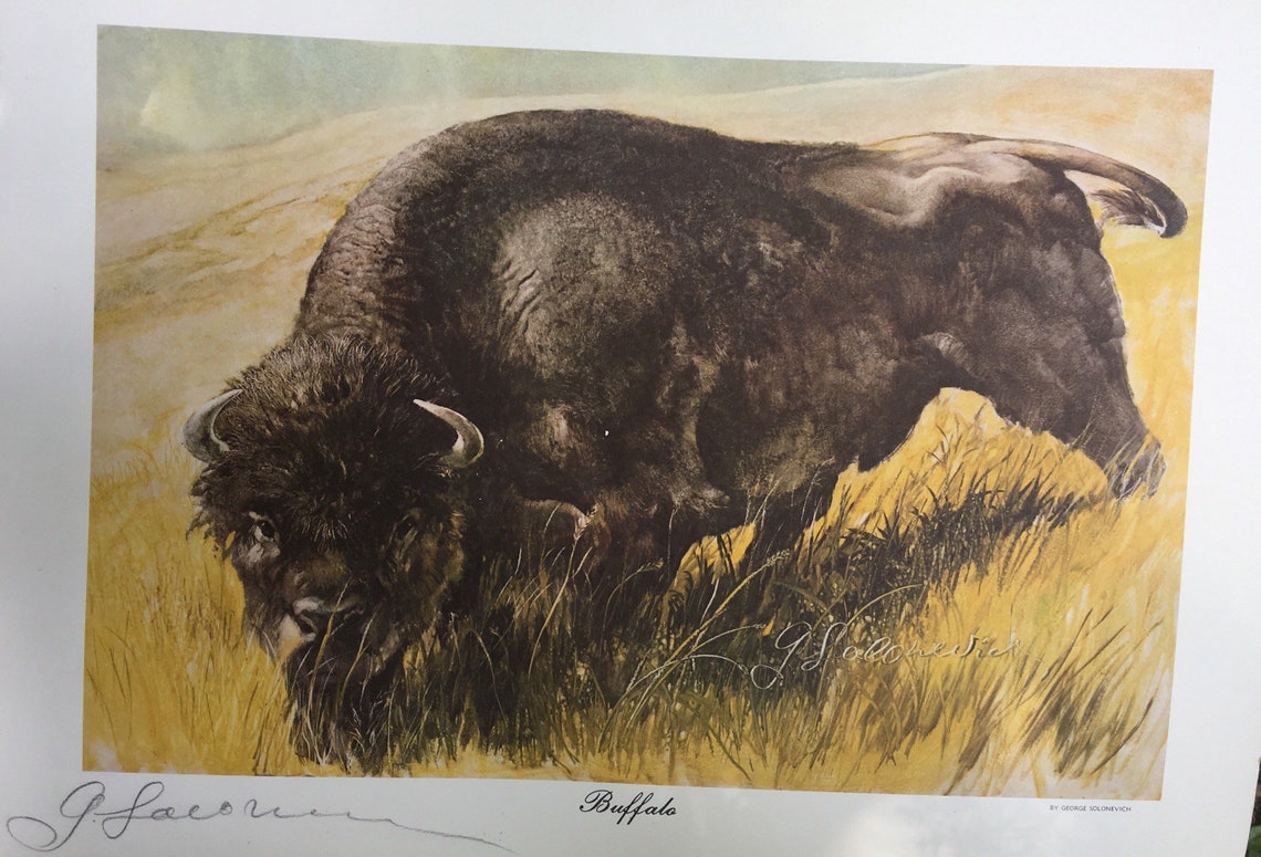 Solonevich George Roanoke Virginia Signed Prints Buffalo From Original ...