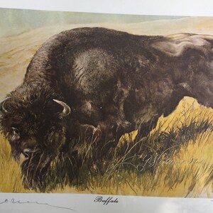 Solonevich George Roanoke Virginia Signed Prints Buffalo From Original ...