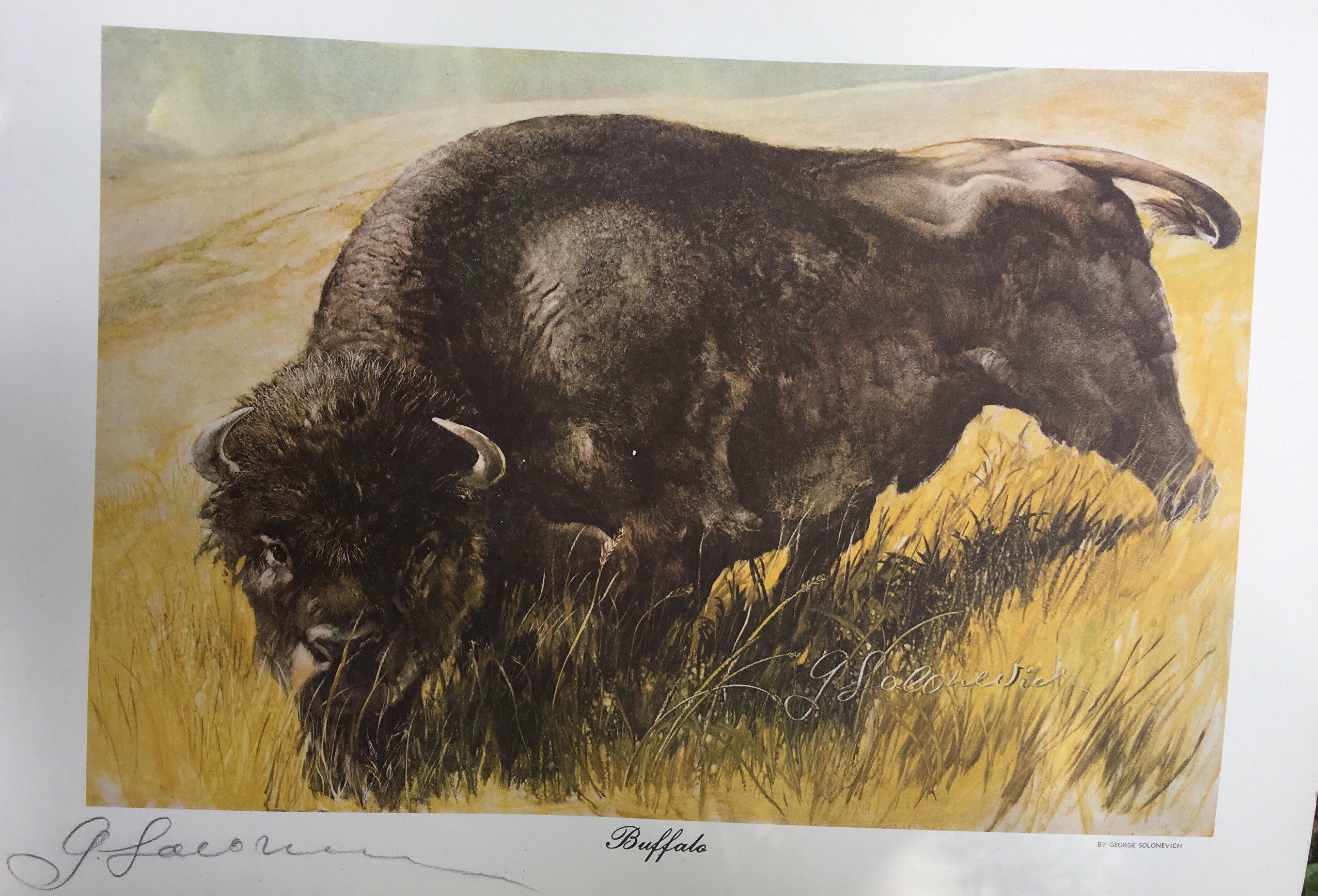 Solonevich George Roanoke Virginia Signed Prints Buffalo From Original ...