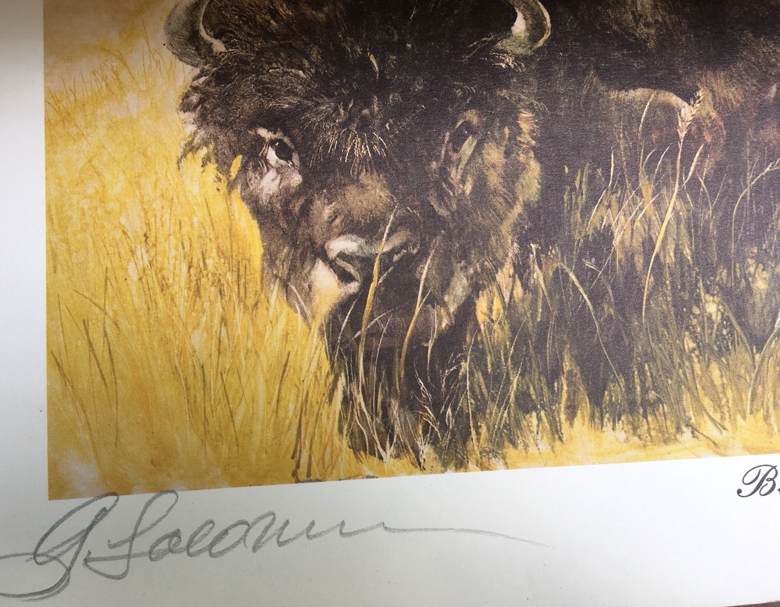 Solonevich George Roanoke Virginia Signed Prints Buffalo From Original ...