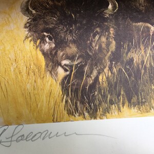 Solonevich George Roanoke Virginia Signed Prints Buffalo From Original ...