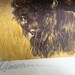 Solonevich George Roanoke Virginia Signed Prints Buffalo From Original ...