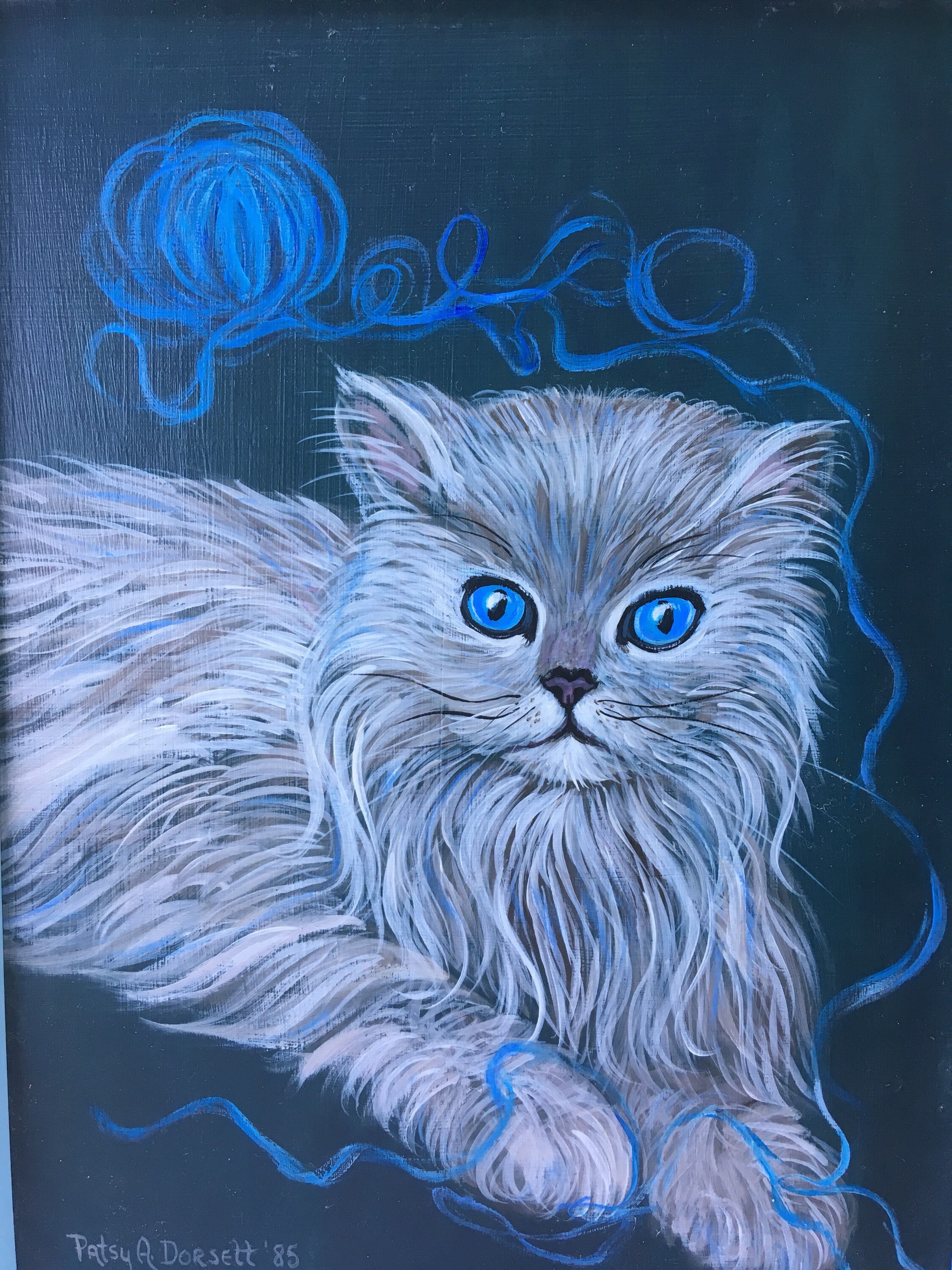 Blue Tabby Persian Cat