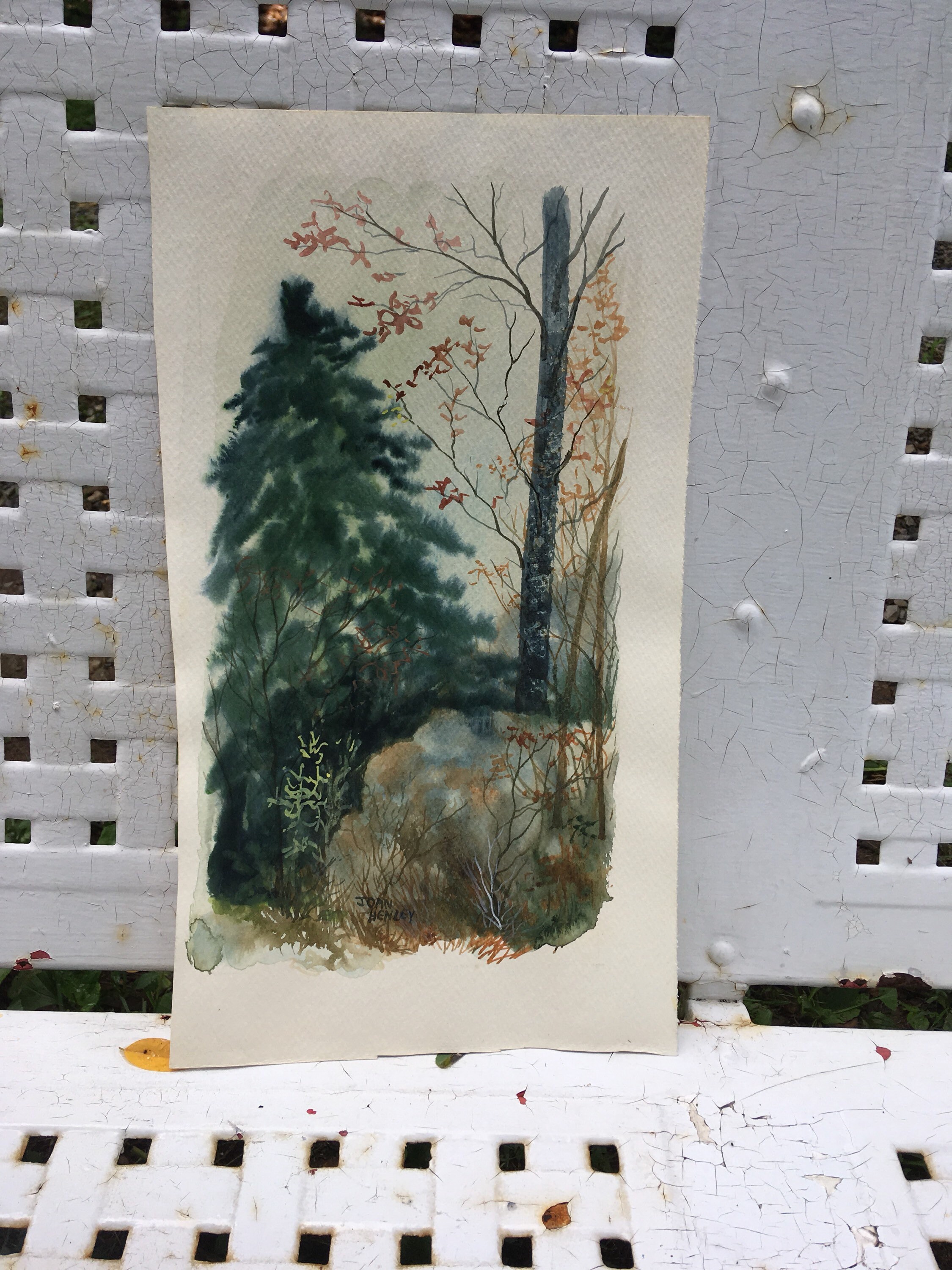 Floyd/roanoke Artist Joan Henley Original Signed Watercolor - Etsy