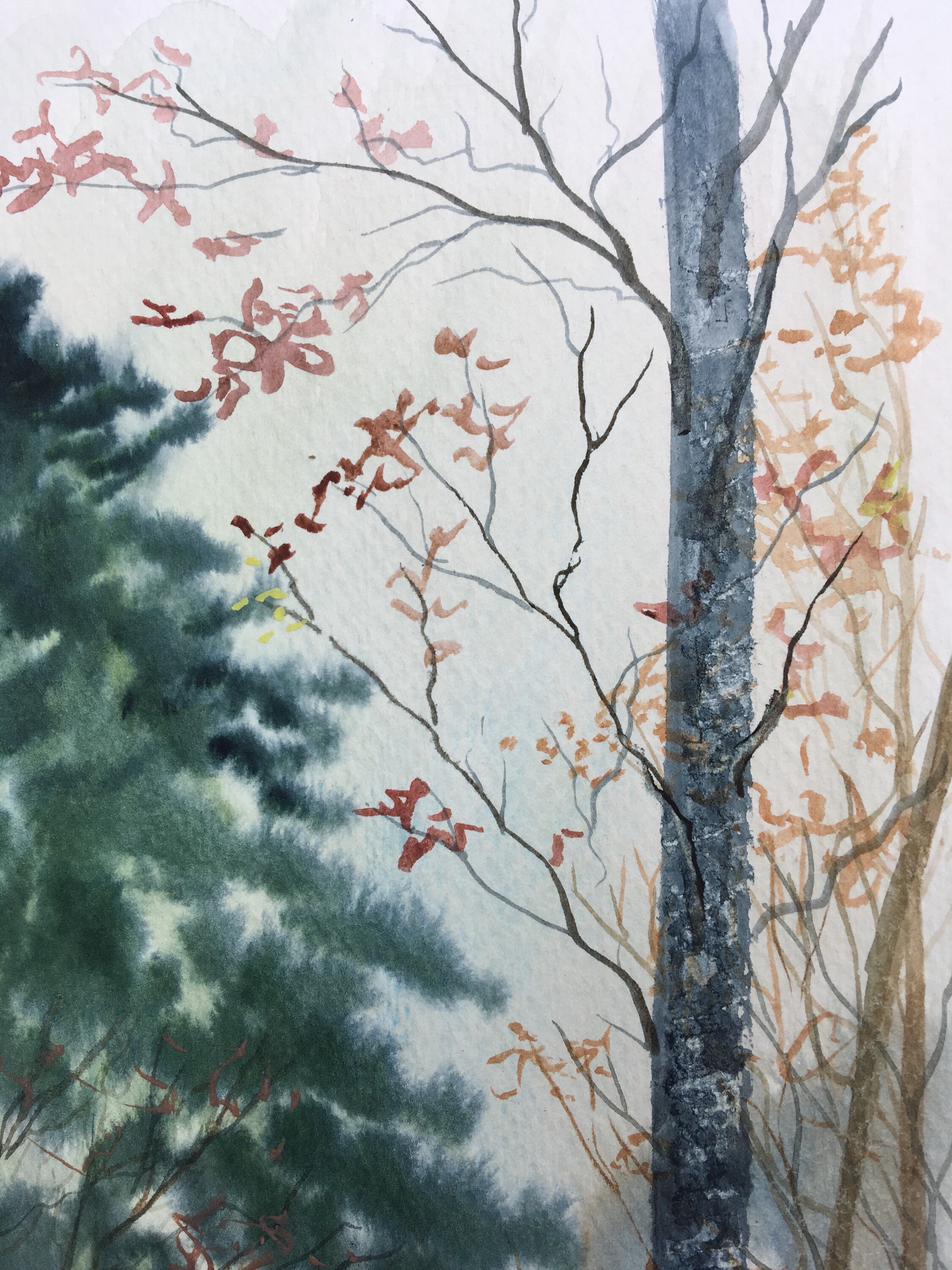 Floyd/roanoke Artist Joan Henley Original Signed Watercolor - Etsy
