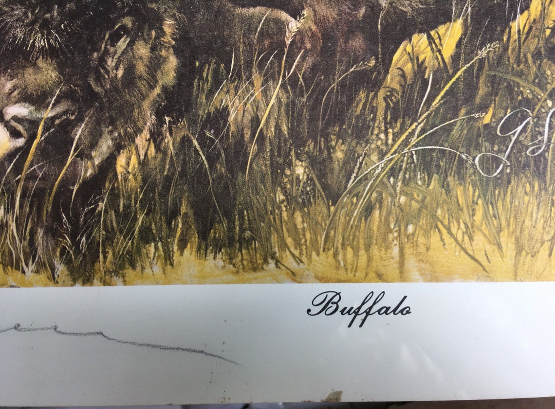 Solonevich George Roanoke Virginia Signed Prints Buffalo From Original ...