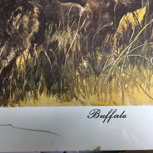 Solonevich George Roanoke Virginia Signed Prints Buffalo From Original ...