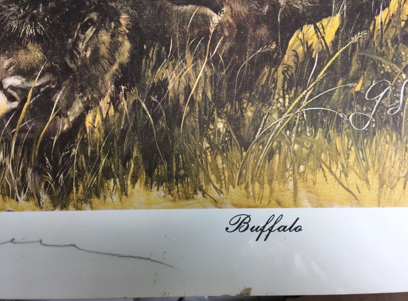 Solonevich George Roanoke Virginia Signed Prints Buffalo From Original ...