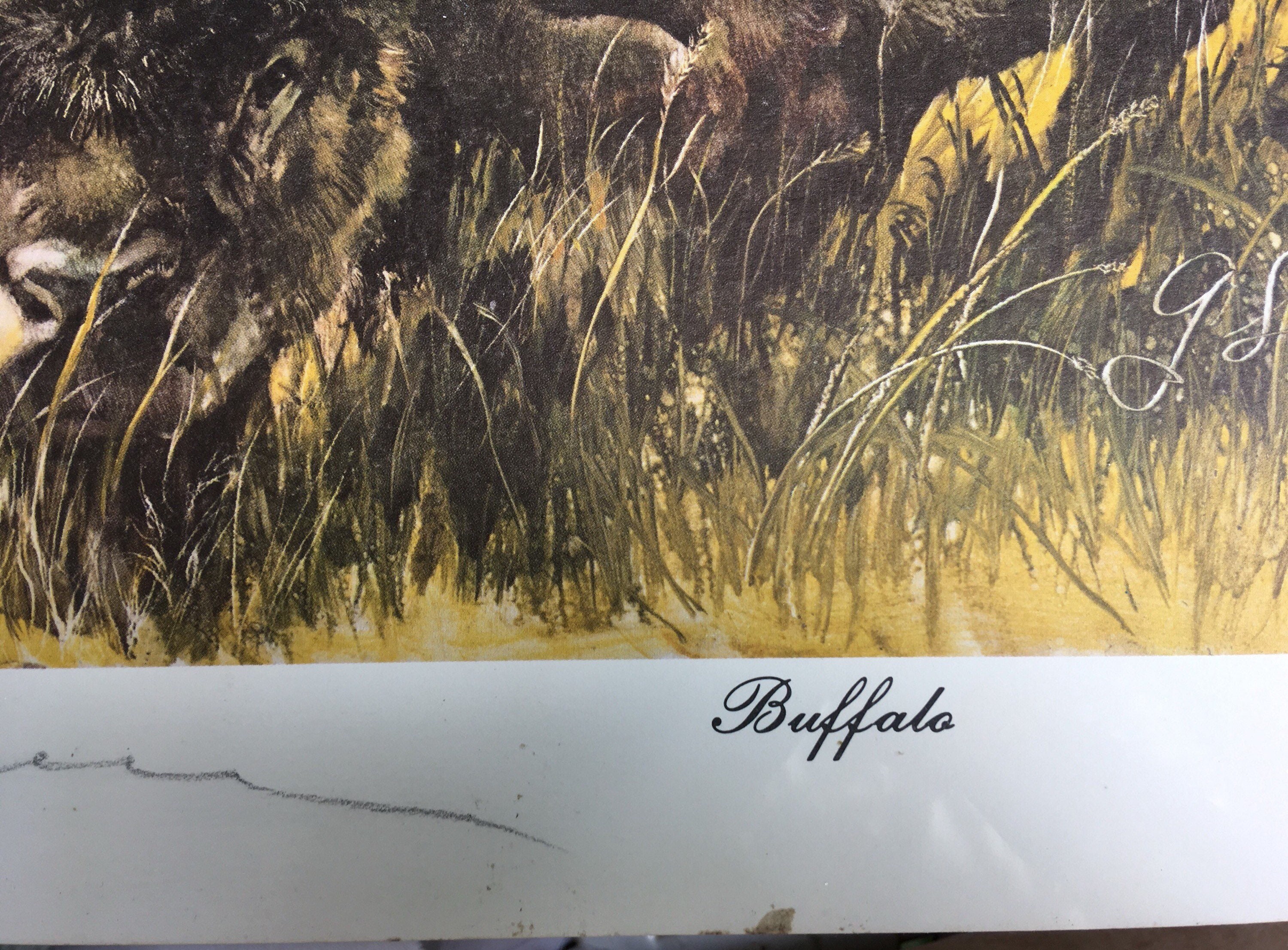 Solonevich George Roanoke Virginia Signed Prints Buffalo From Original ...