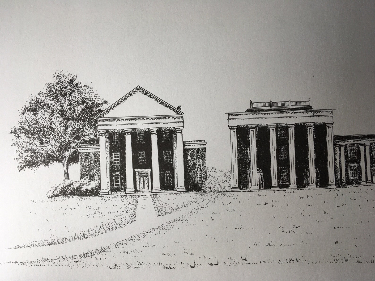 The Colonnade Buildings Print Washington and Lee College Lexington, VA ...