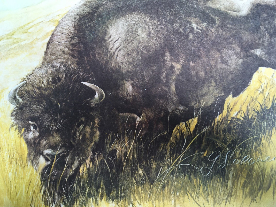 Solonevich George Roanoke Virginia Signed Prints Buffalo From Original ...