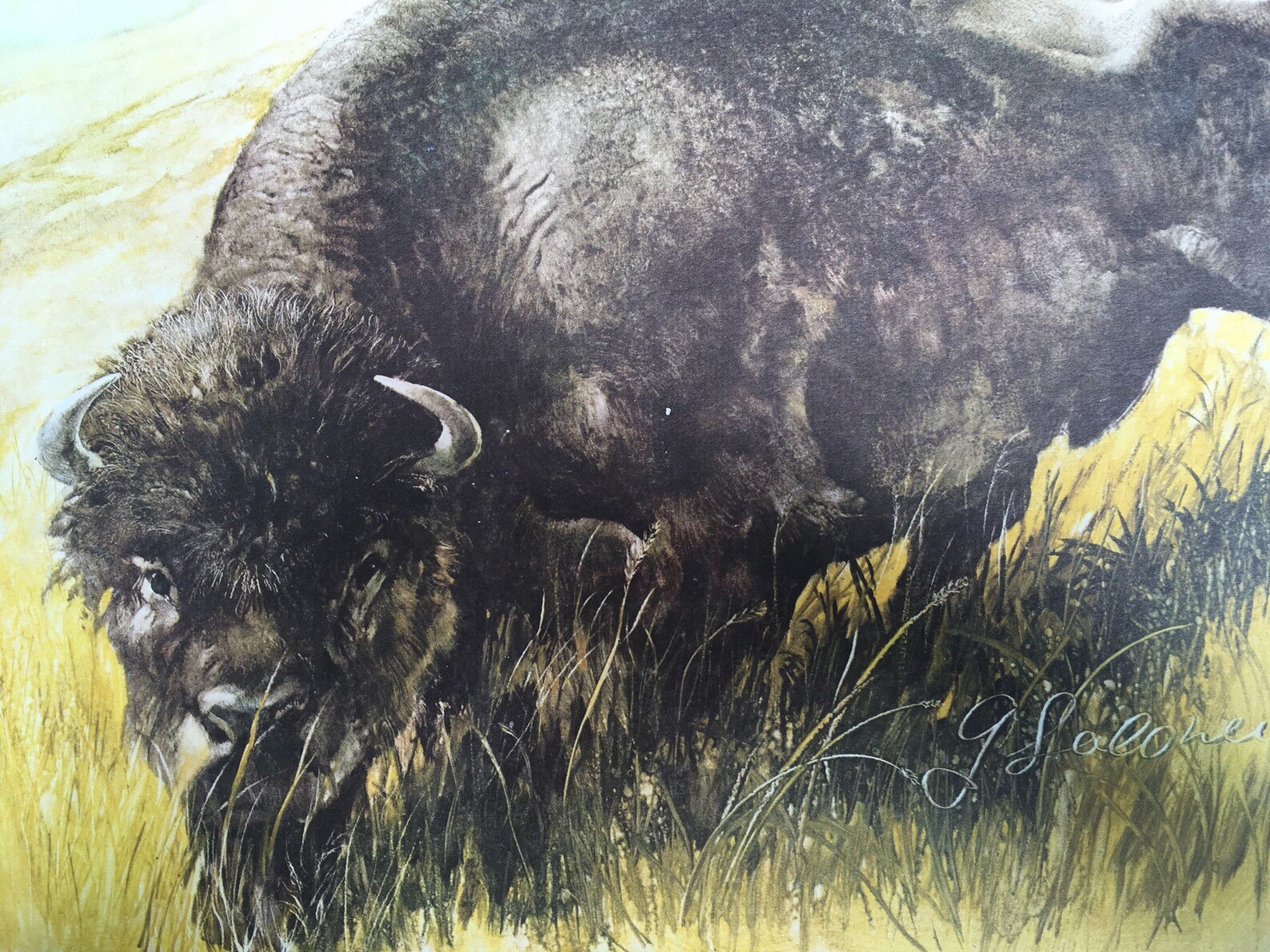 Solonevich George Roanoke Virginia Signed Prints Buffalo From Original ...