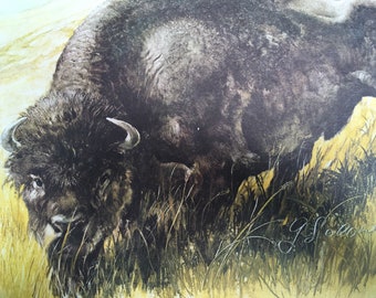 Solonevich George Roanoke Virginia Signed Prints Buffalo From - Etsy