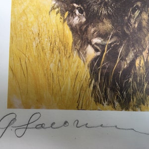 Solonevich George Roanoke Virginia Signed Prints Buffalo From Original ...