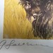 Solonevich George Roanoke Virginia Signed Prints Buffalo From Original ...