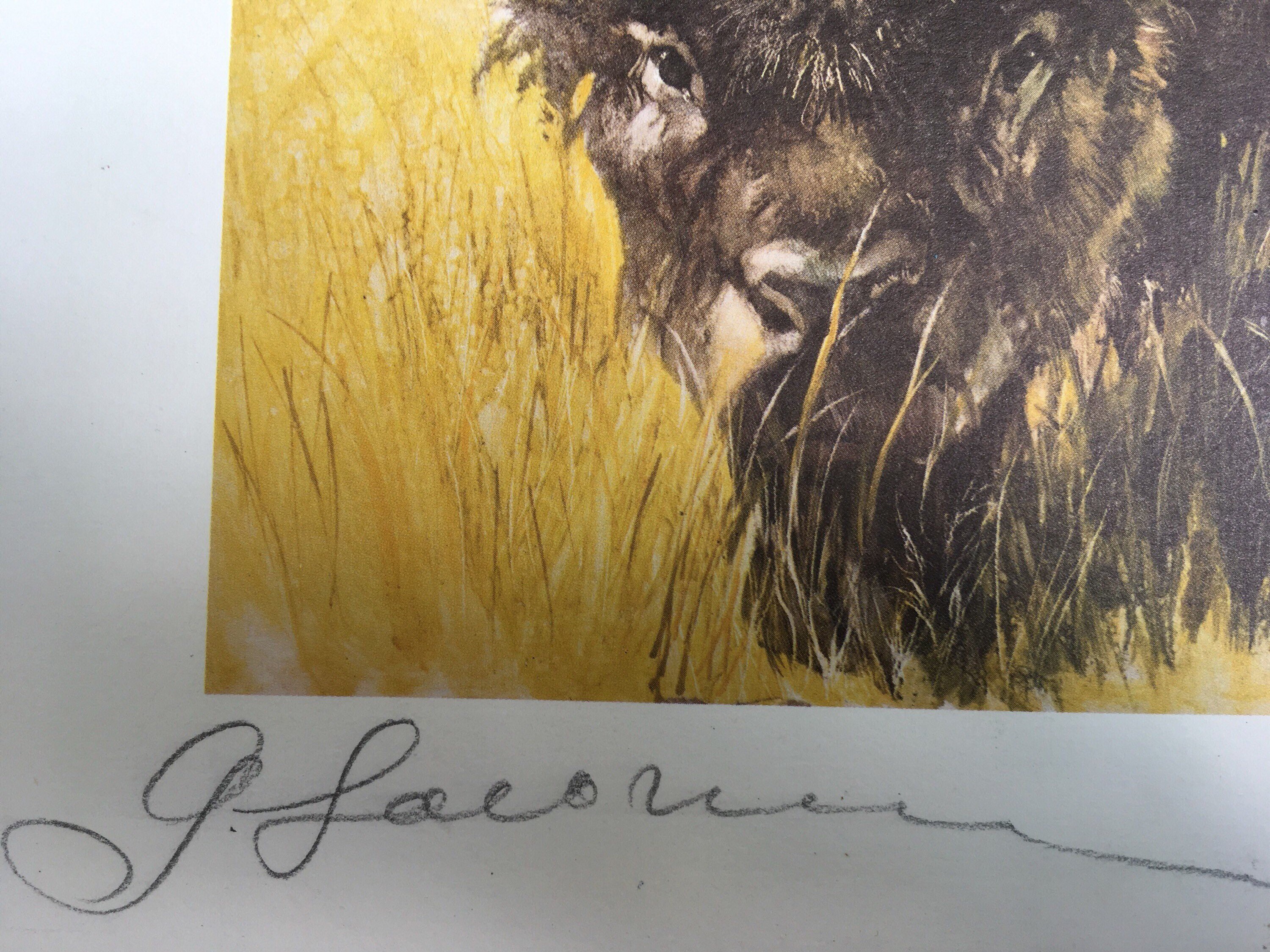 Solonevich George Roanoke Virginia Signed Prints Buffalo From Original ...