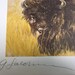Solonevich George Roanoke Virginia Signed Prints Buffalo From Original ...