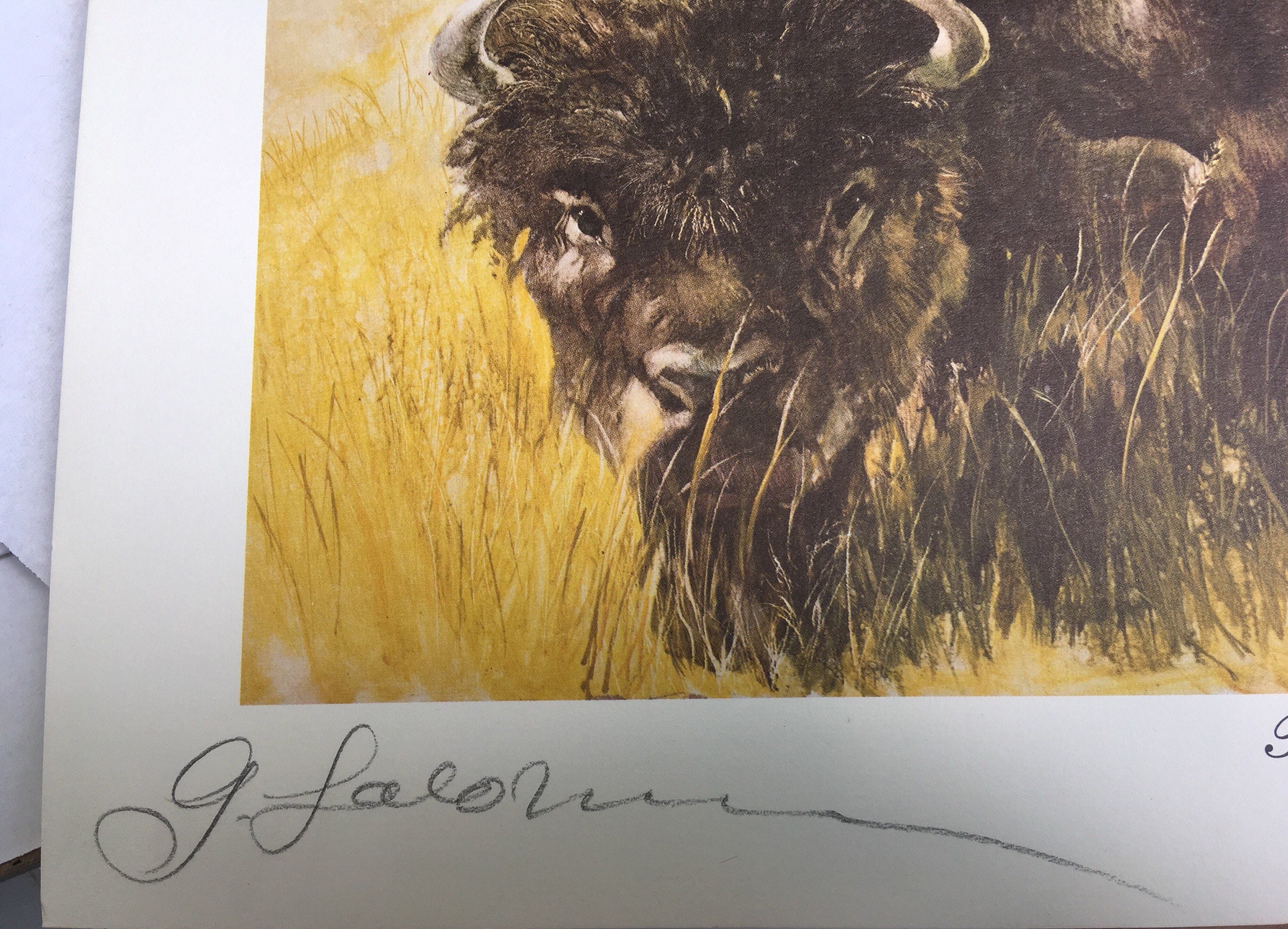 Solonevich George Roanoke Virginia Signed Prints Buffalo From Original ...