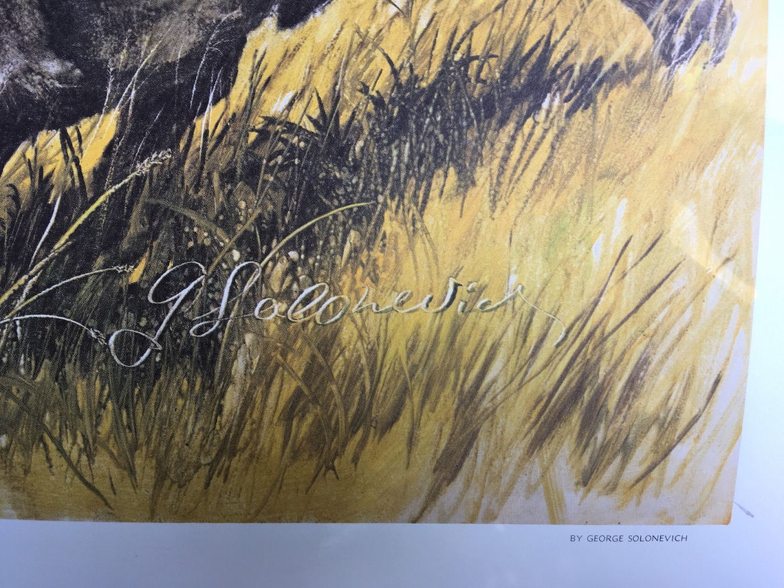 Solonevich George Roanoke Virginia Signed Prints Buffalo From Original ...