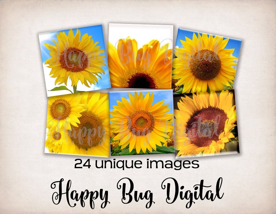 Sunflowers Digital Collage Sheet Set A 7/8 inch .092 | Etsy