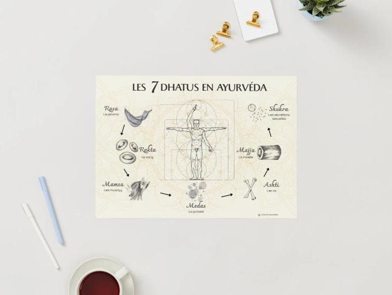 2 Posters of the 7 Dhatus | Memo Guide | Ayurveda | Therapist's Office ...