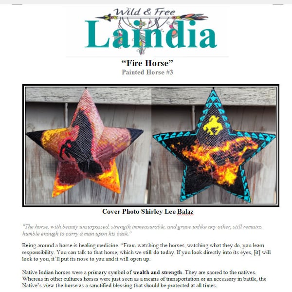 Cowboy Star Pattern - Etsy