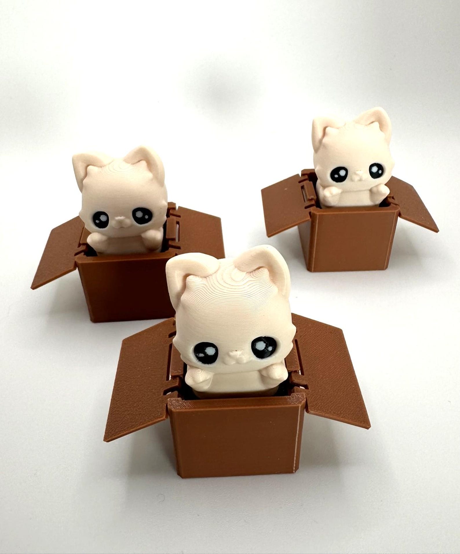 Kitten Fidget Clicker Toy: Cat-themed Sensory Stress Relief - Etsy