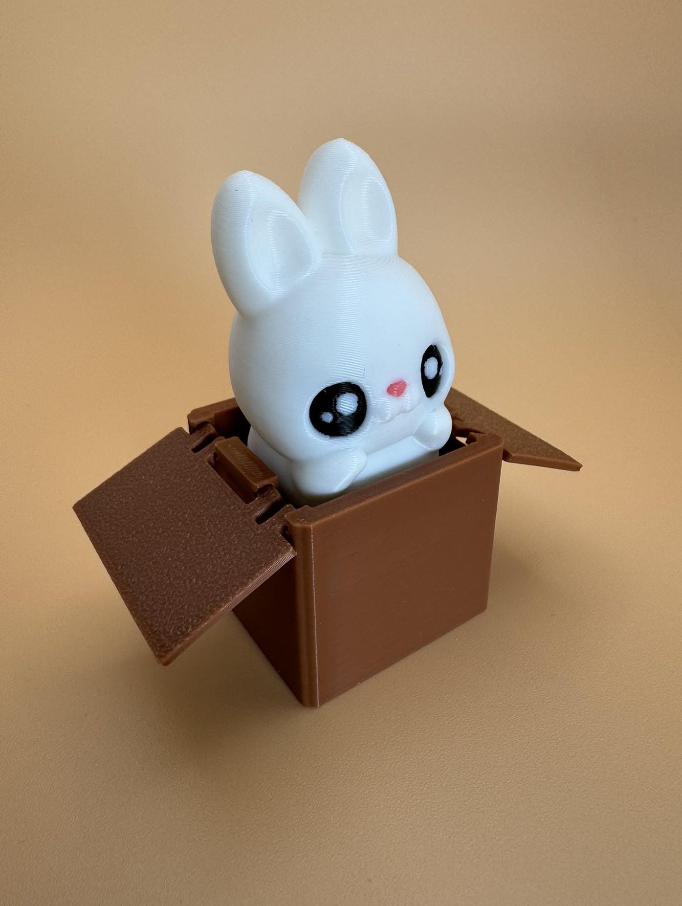 Bunny Fidget Clicker Toy: Stress Relief Gift - Etsy