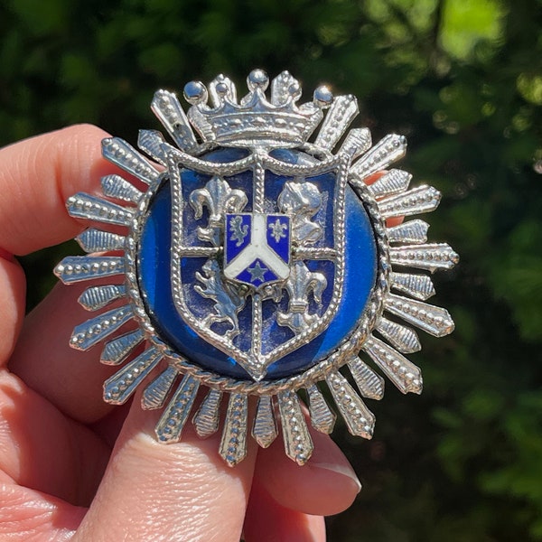 Lion Crest Brooch - Etsy