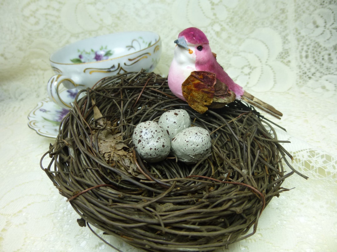4 Inch Bird Nest With Bird and Eggs - Etsy