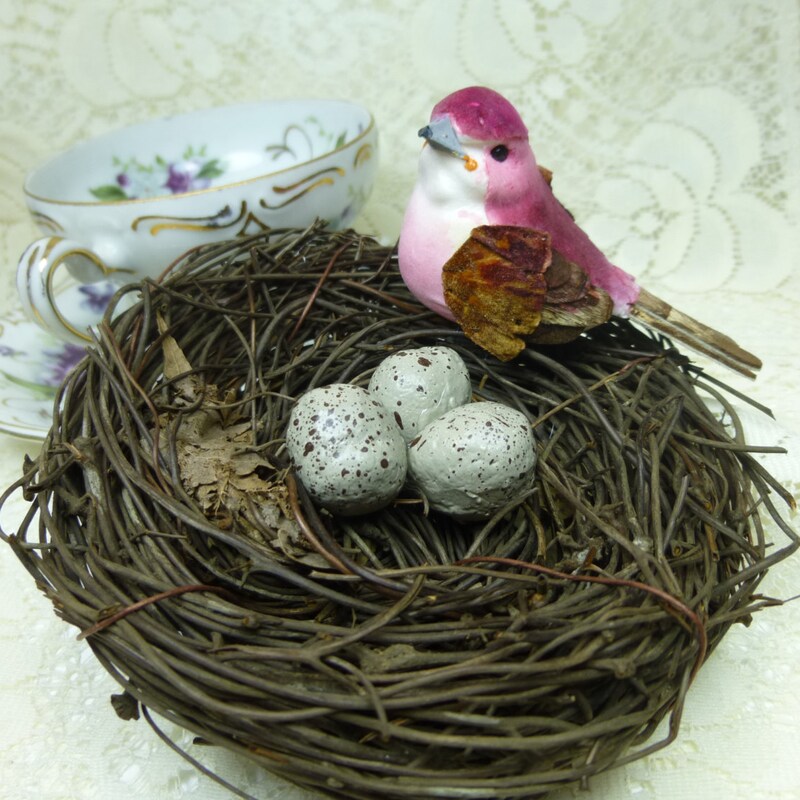 Blue Bird Eggs - Etsy