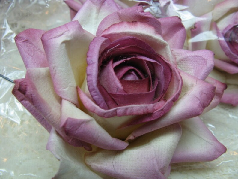 6 Extra Large Amazing Rose Cream Parchment Paper Roses | Etsy