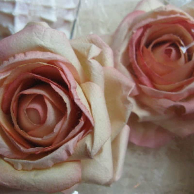 Parchment Roses - Etsy