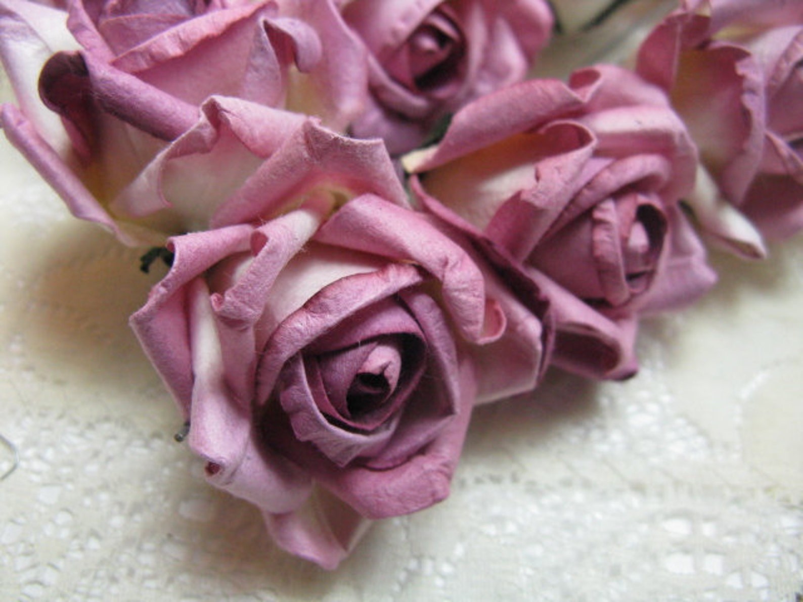 Paper Roses Parchment Paper Roses 12 Medium Light Rose - Etsy